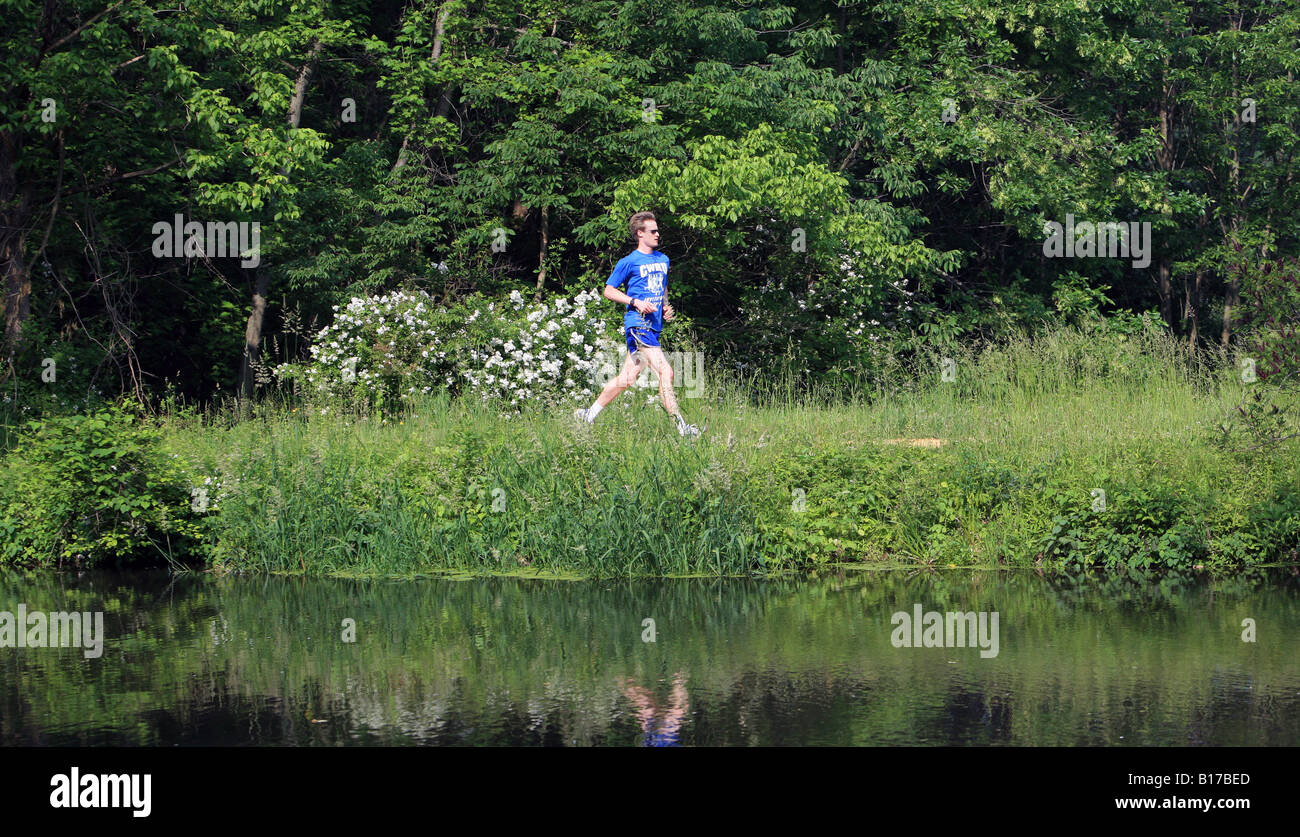 A lone runner jogging a through the forest Stock Photo - Alamy
