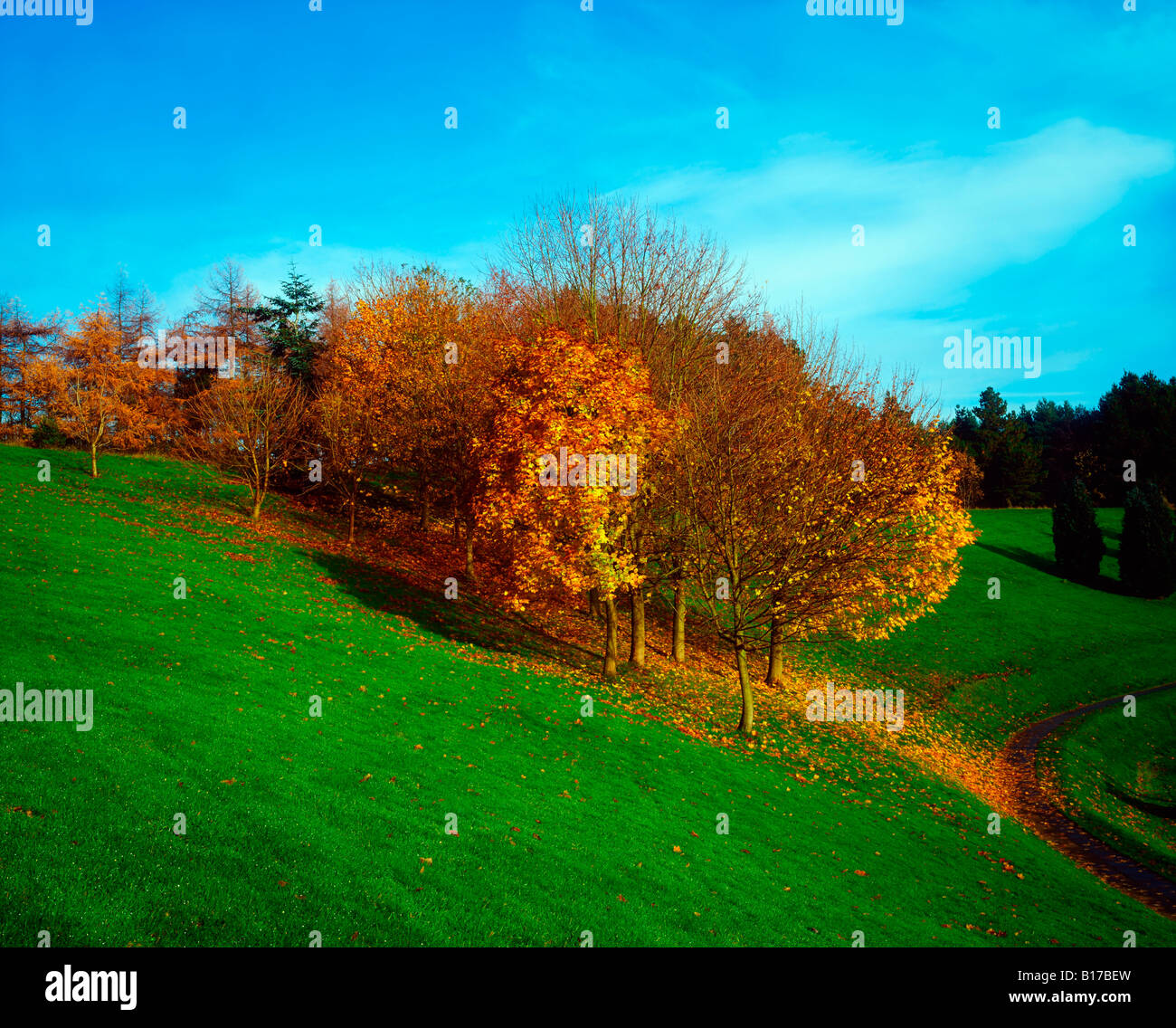 Autumn_color hi-res stock photography and images - Alamy
