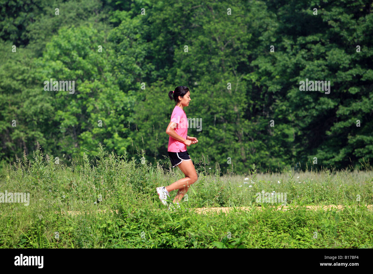 A lone female runner jogging a through the forest Stock Photo - Alamy