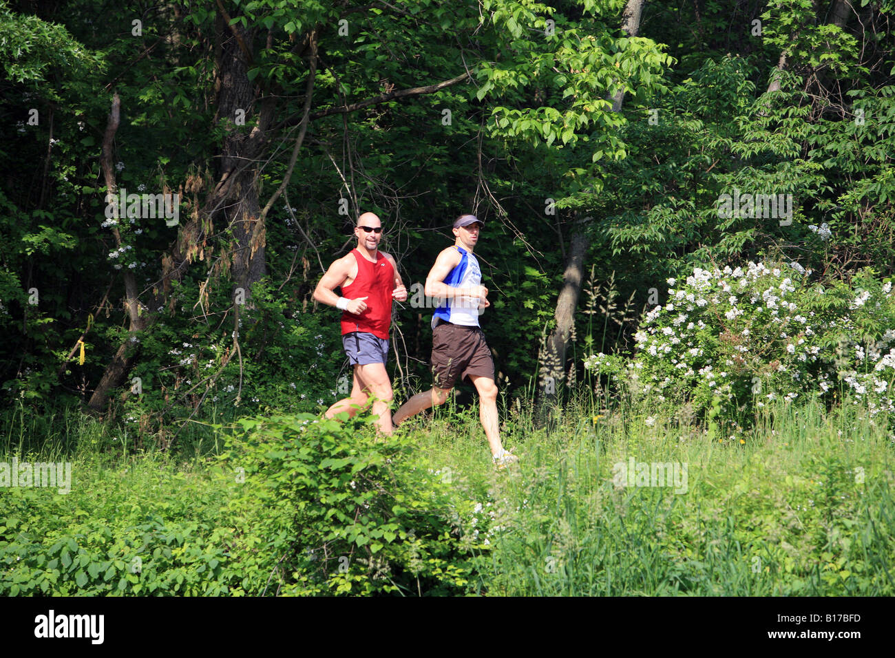Runners jogging through the forest Stock Photo - Alamy