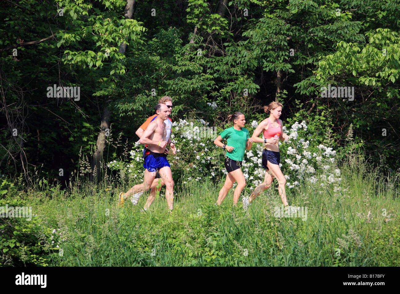 Runners jogging through the forest Stock Photo - Alamy