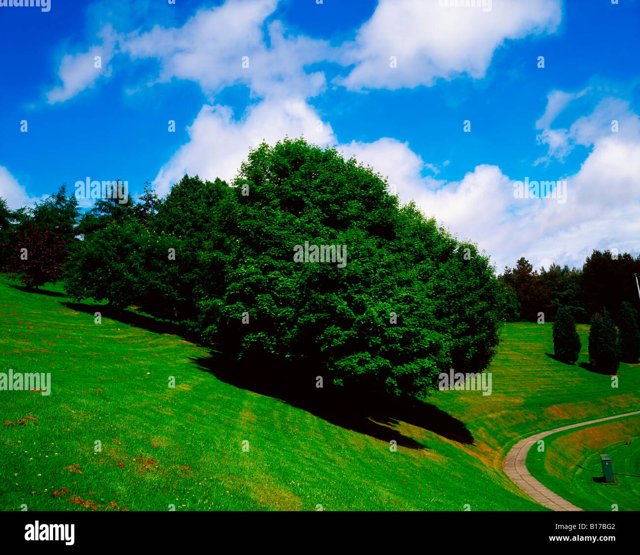 July summer hi-res stock photography and images - Alamy