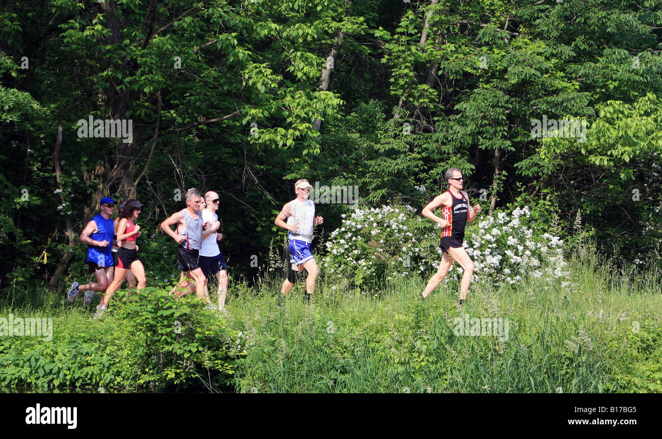A large group of runners jogging through the forest Stock Photo - Alamy