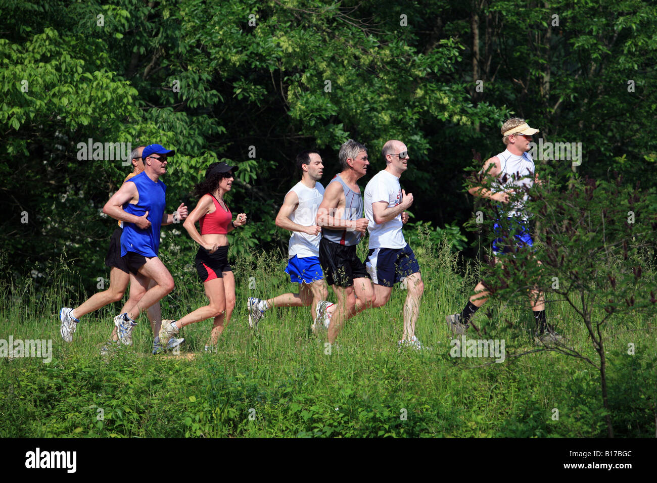 A large group of runners jogging through the forest Stock Photo - Alamy