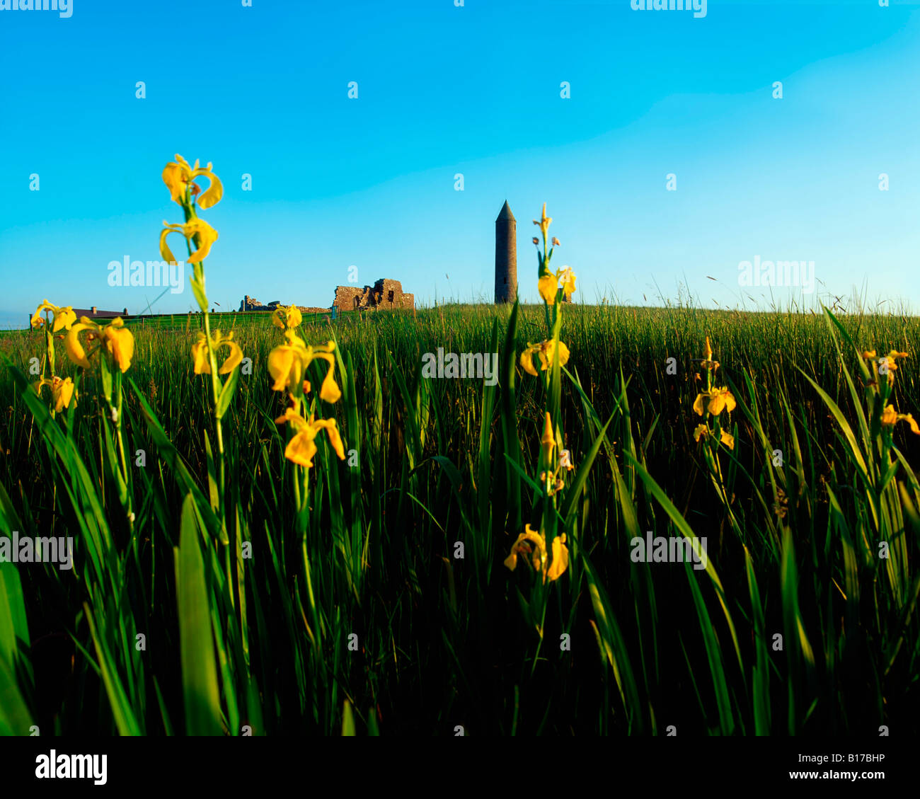 Devenish monastery ireland hi-res stock photography and images - Alamy