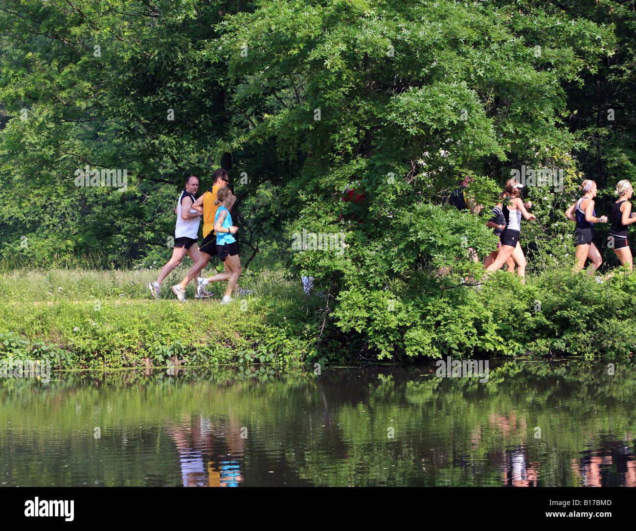 A large group of runners jogging through the forest Stock Photo - Alamy