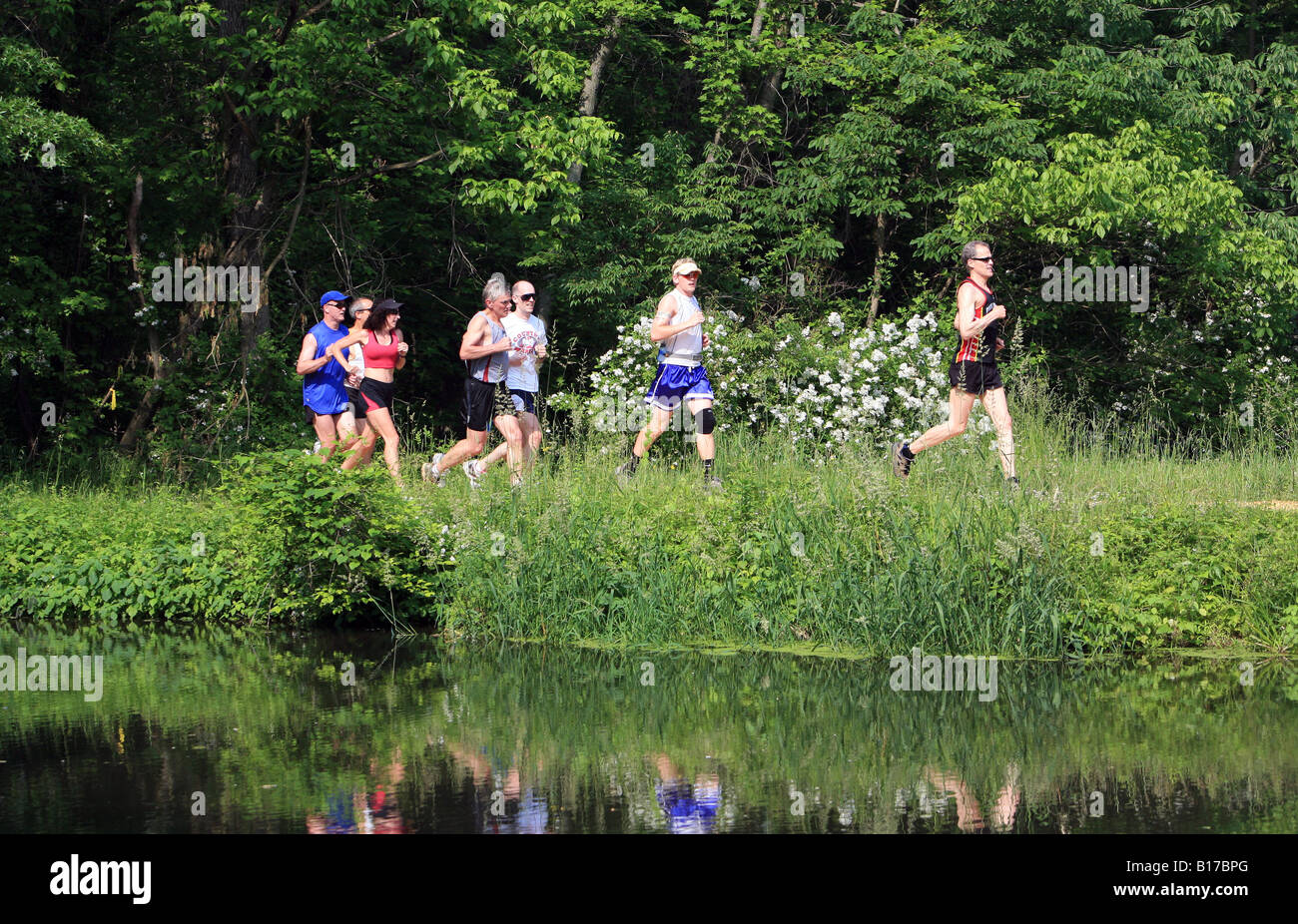 A large group of runners jogging through the forest Stock Photo - Alamy