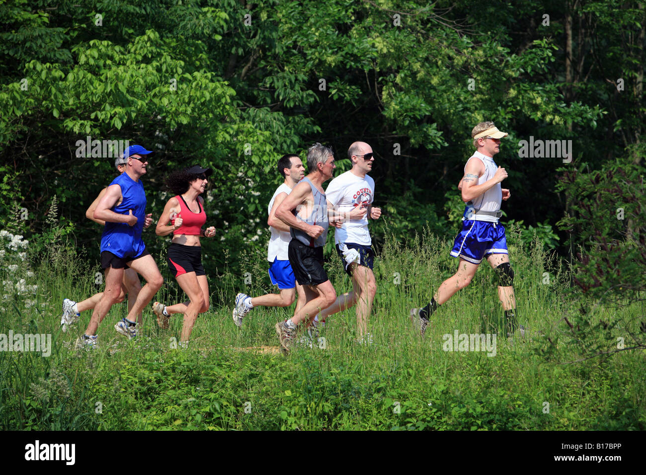 A large group of runners jogging through the forest Stock Photo - Alamy
