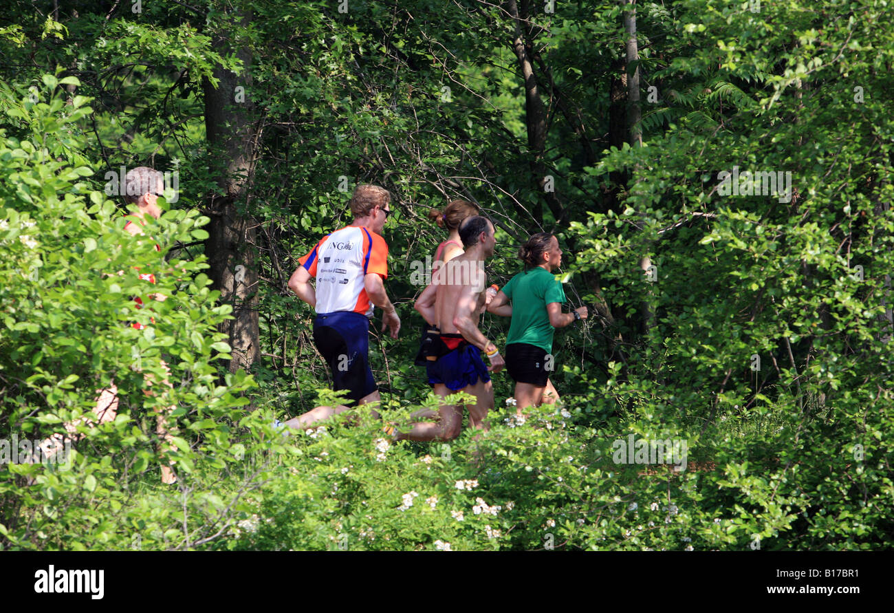 Runners jogging through the forest Stock Photo - Alamy