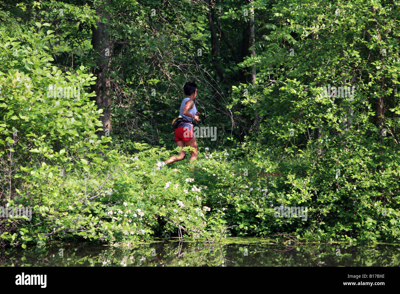 A lone female runner jogging a through the forest Stock Photo - Alamy