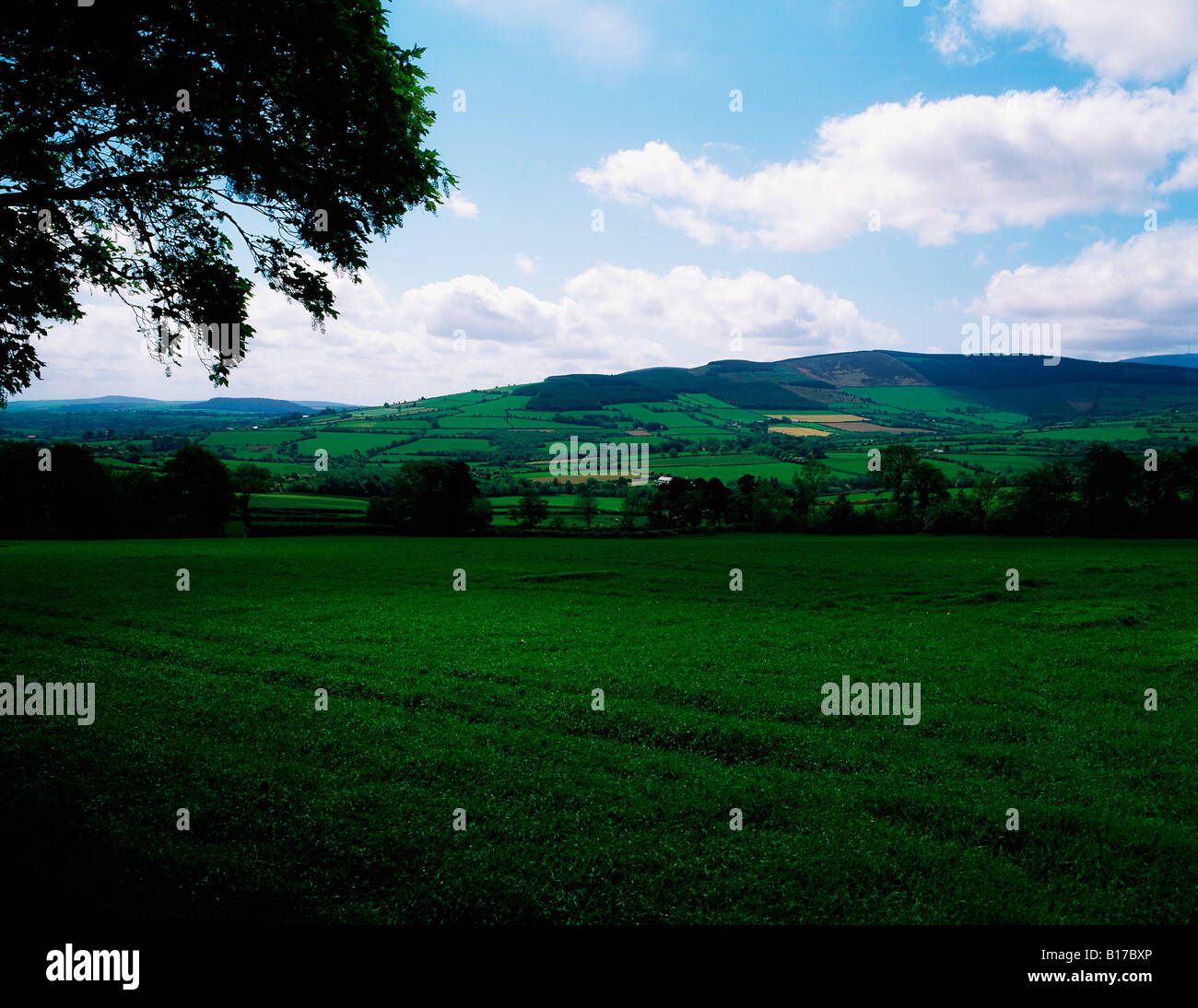 Bunclody co wexford ireland hi-res stock photography and images - Alamy