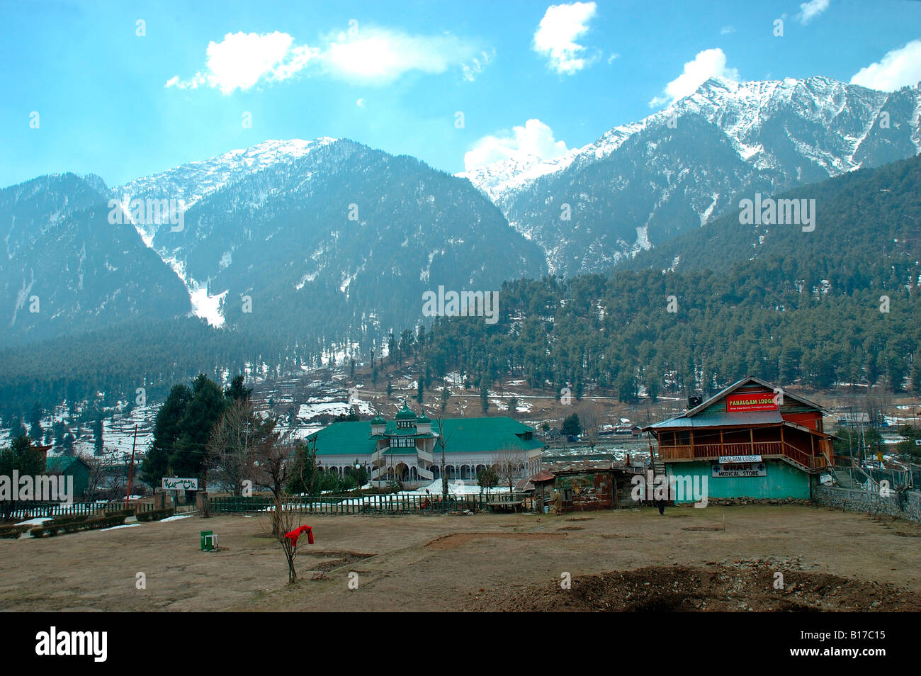 Kashmir tree hi-res stock photography and images - Alamy