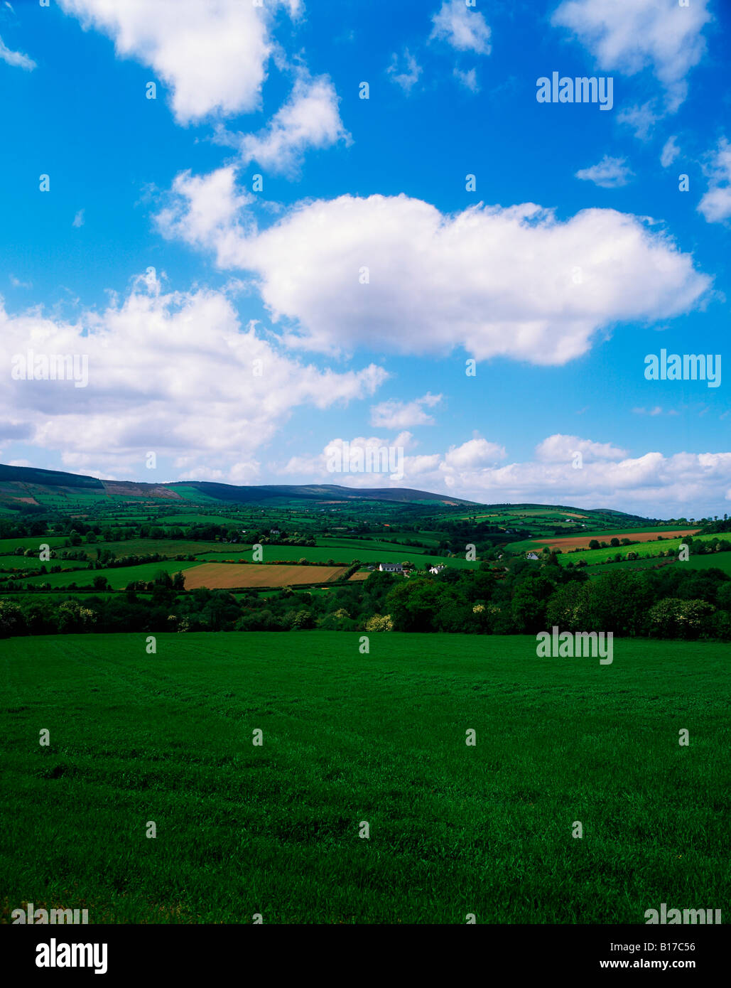 Bunclody co wexford ireland hi-res stock photography and images - Alamy