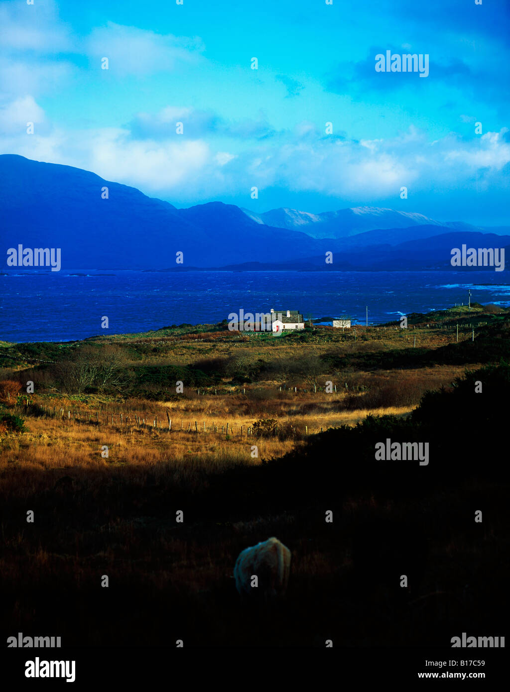 Galway cottage hi-res stock photography and images - Alamy