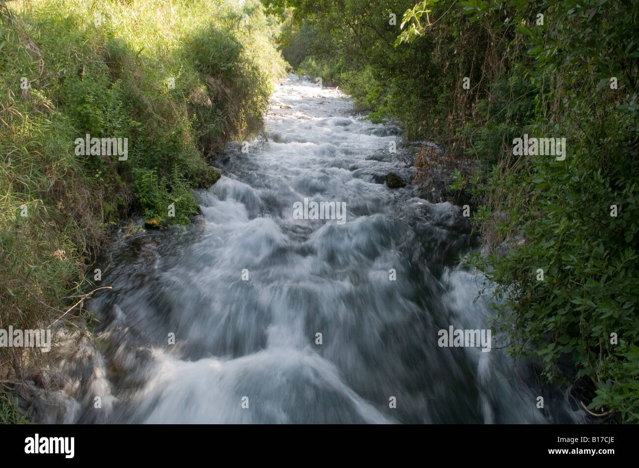 Tel dan nature reserve israel hi-res stock photography and images - Alamy