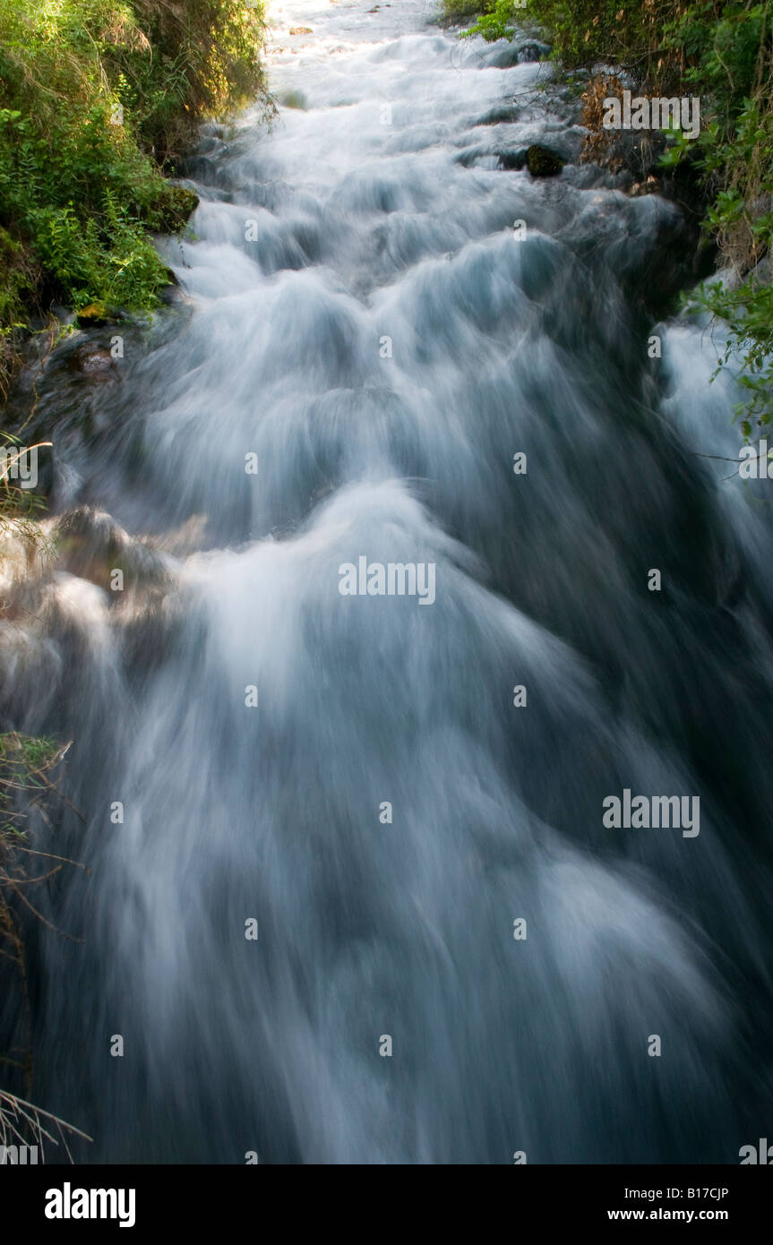 Tel dan nature reserve israel hi-res stock photography and images - Alamy