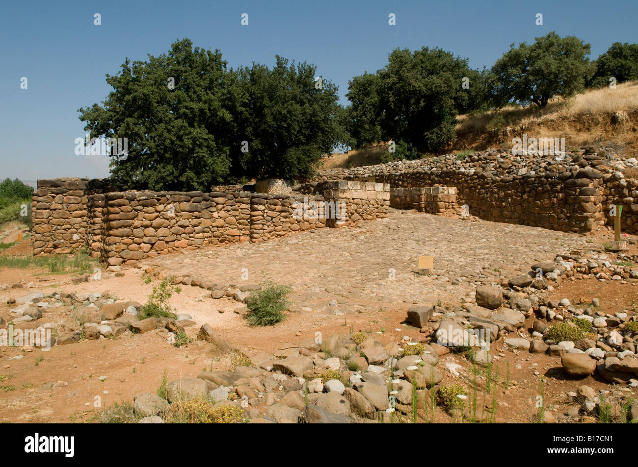 Tel dan nature reserve israel hi-res stock photography and images - Alamy