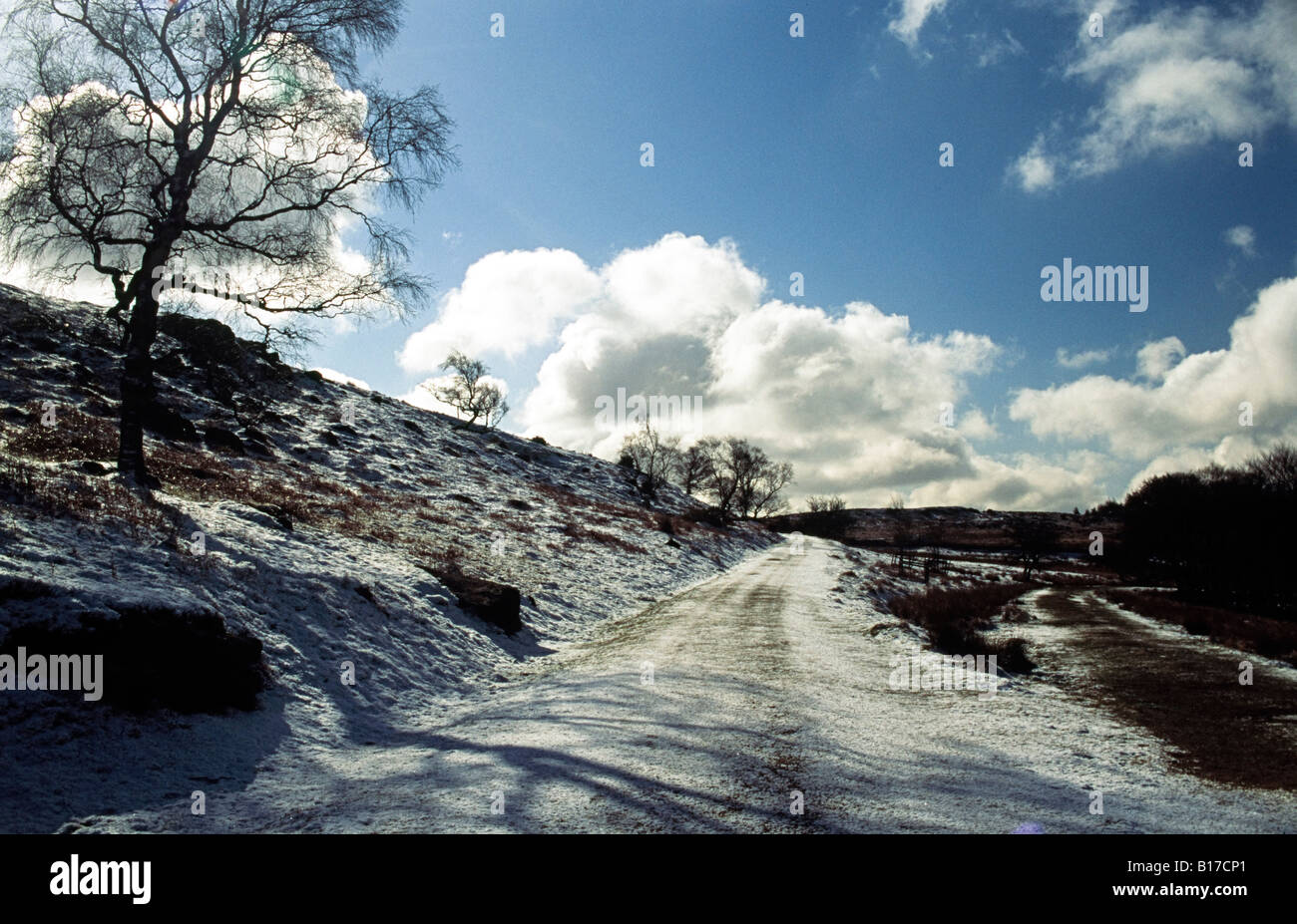 Longshaw Estate, Peak District National Park, Derbyshire, England Stock ...