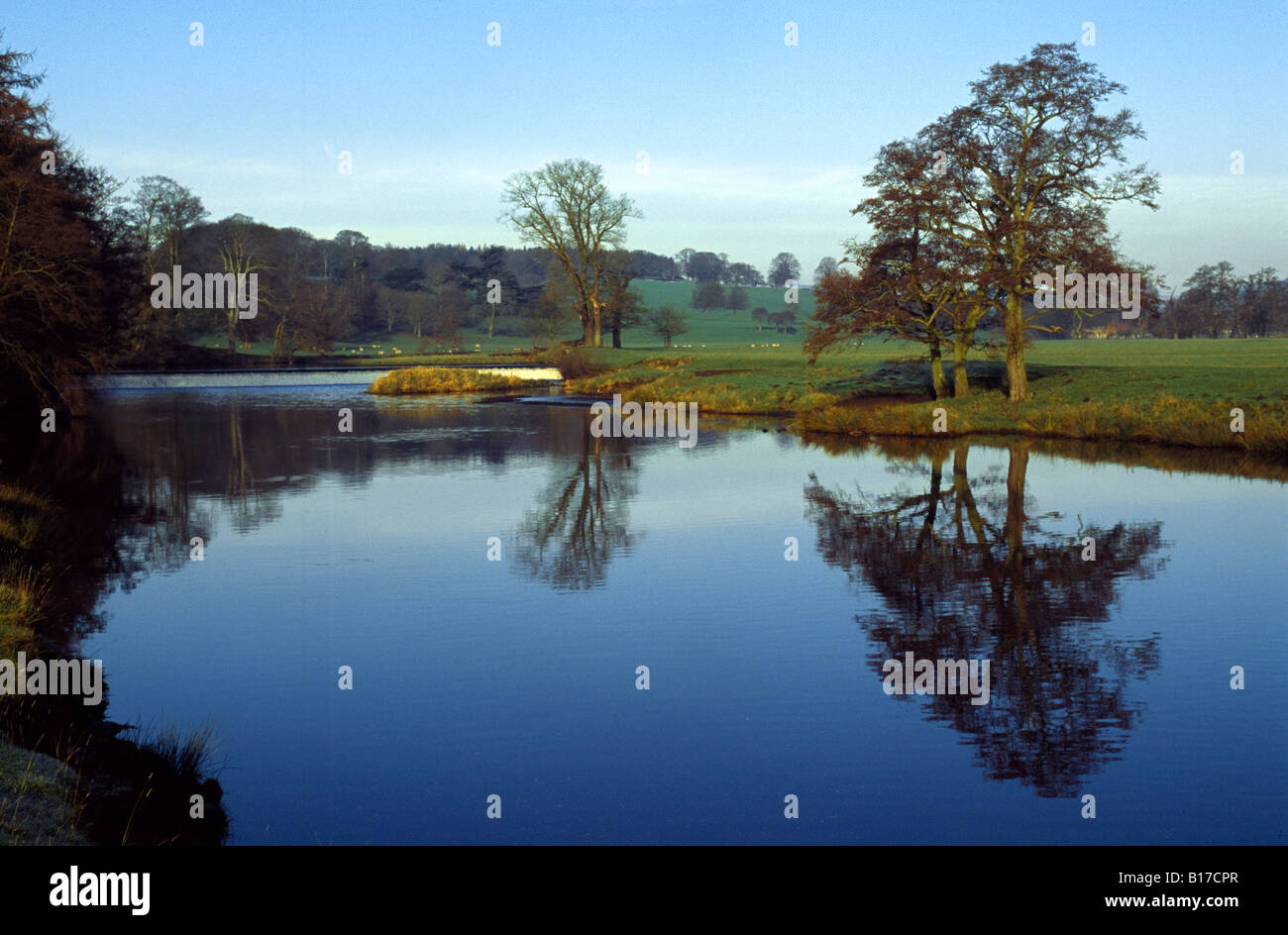 Still lake with trees Stock Photo - Alamy