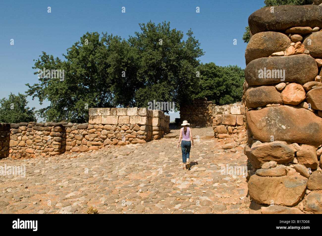 Tel dan nature reserve israel hi-res stock photography and images - Alamy