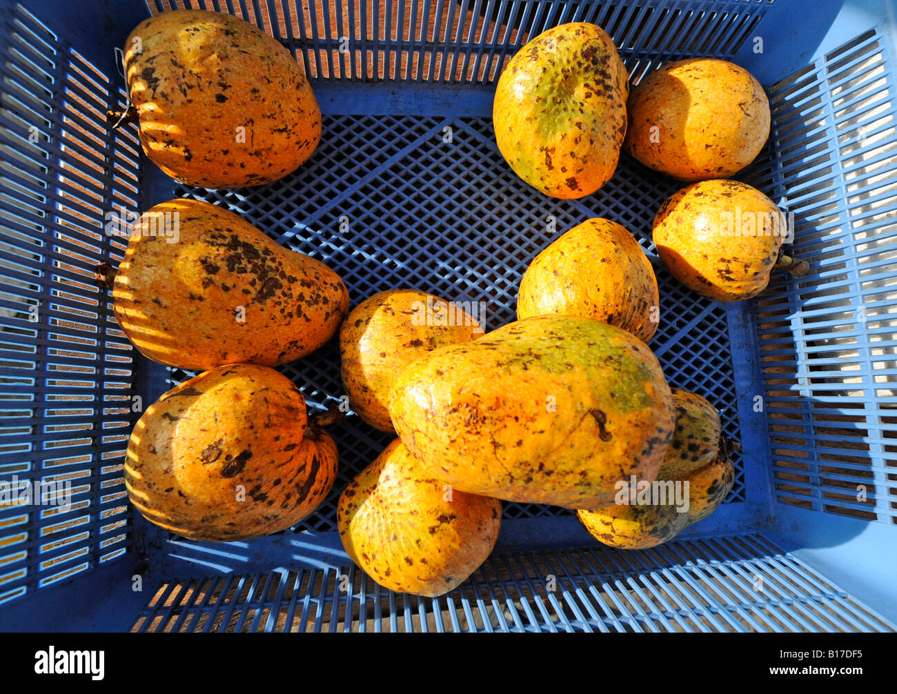 Atha hi-res stock photography and images - Alamy