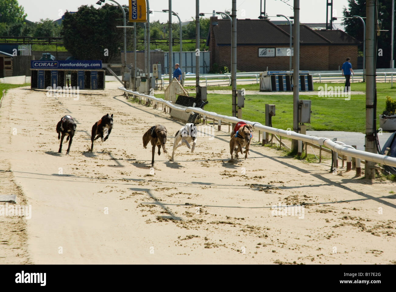 Greyhound track romford hi-res stock photography and images - Alamy