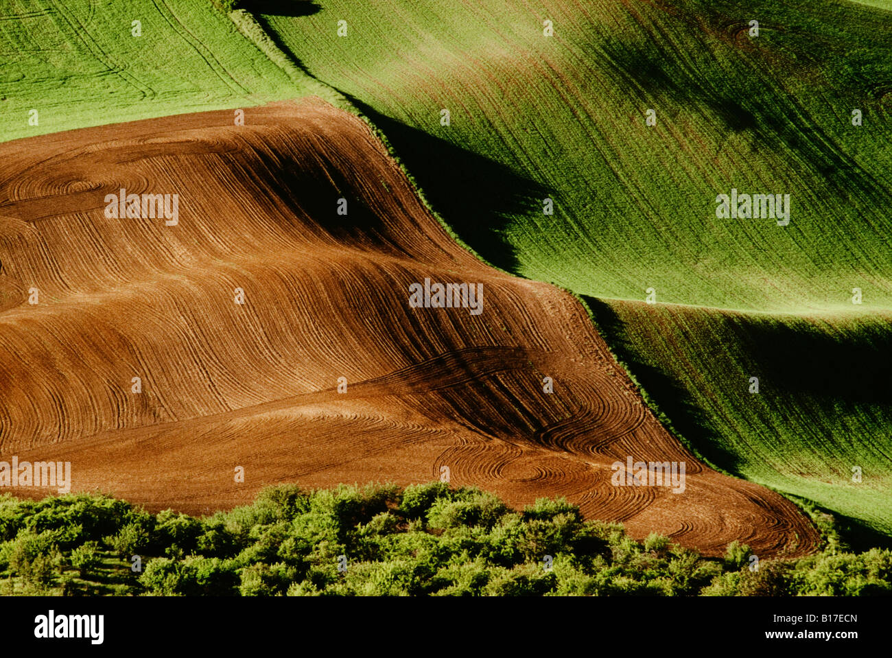 Palouse fields, Whitman County, Washington, USA Stock Photo - Alamy