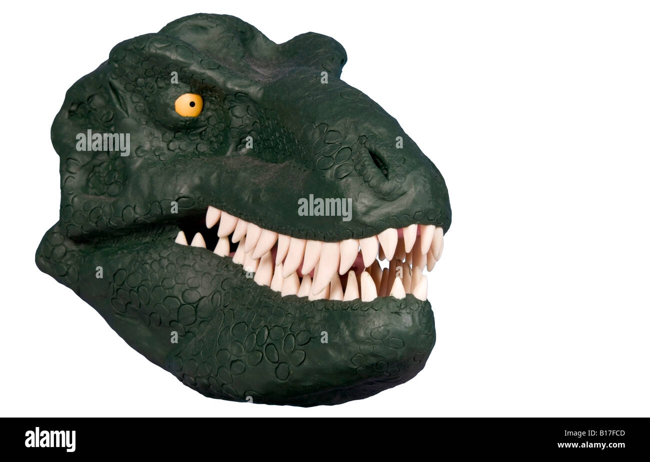 tyrannosaurus model Dinosaur head Stock Photo - Alamy