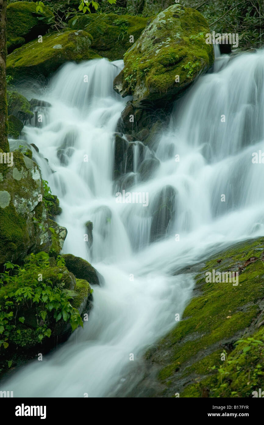 Cascade Tremont Great Smoky Mtns Nat Park TN Stock Photo - Alamy