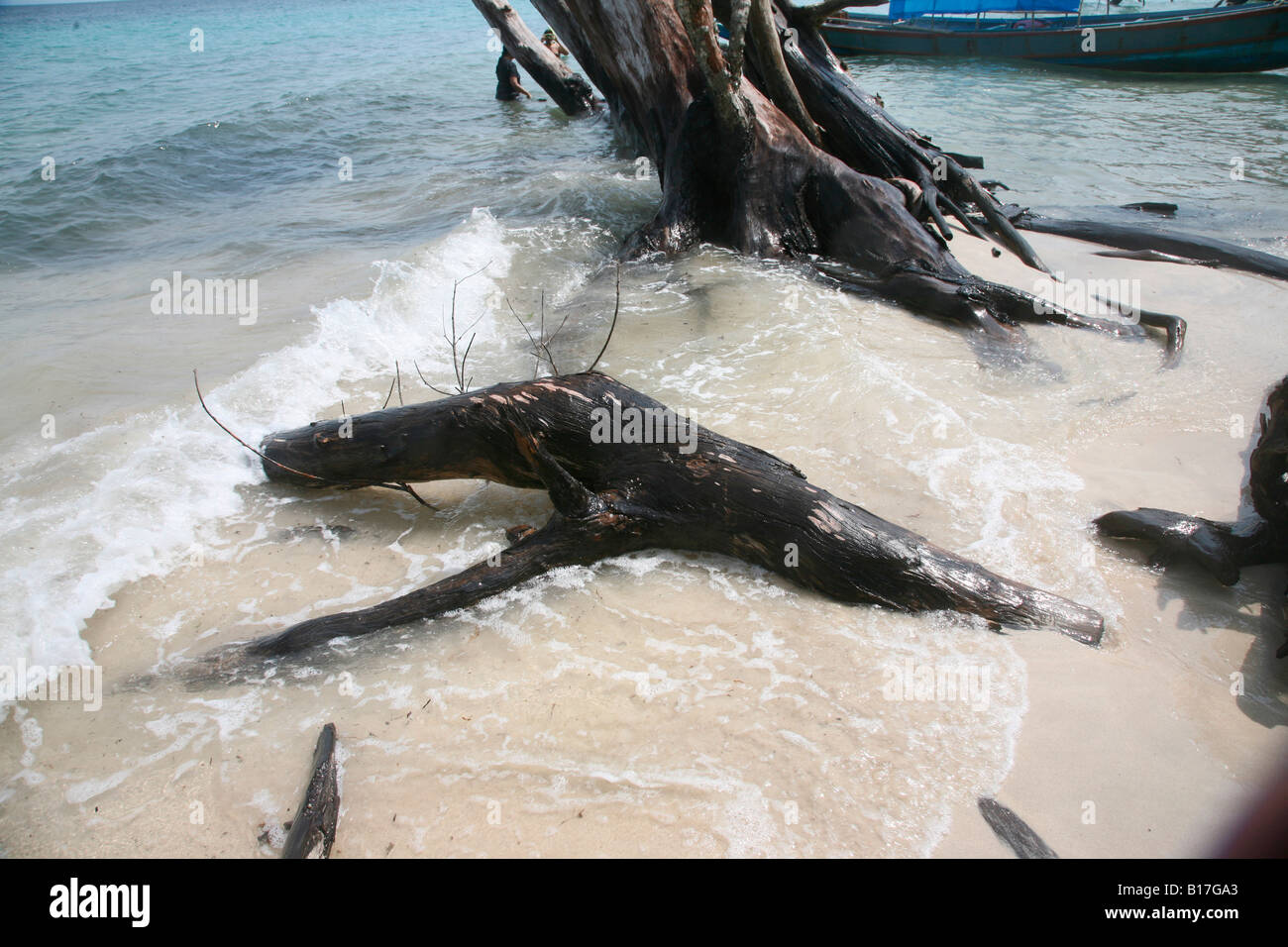 Elephant beach at havelock island,Andaman,India Stock Photo - Alamy