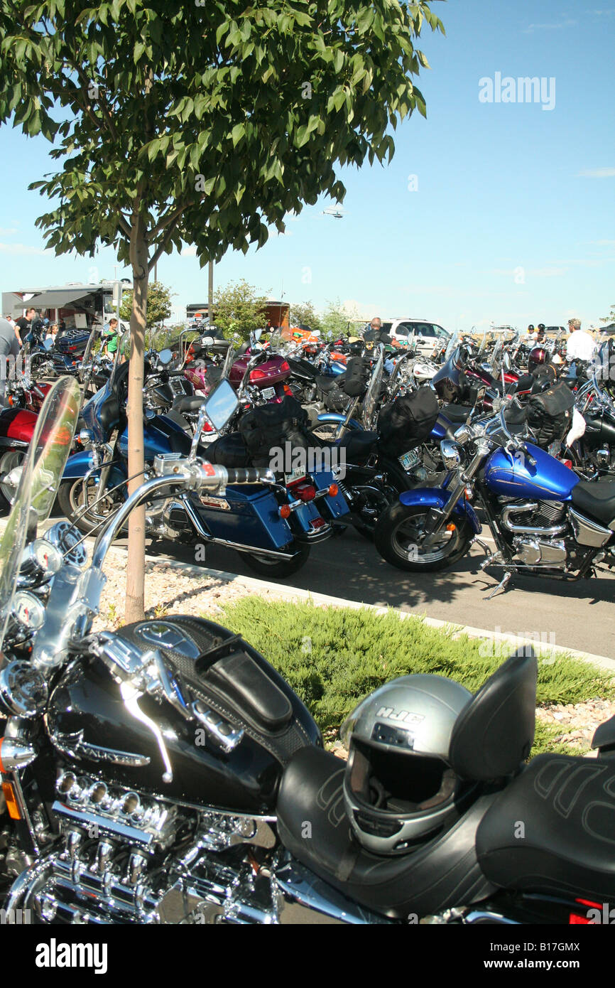 Harley Davidson Motorcycles on display at weekend rally Stock Photo - Alamy