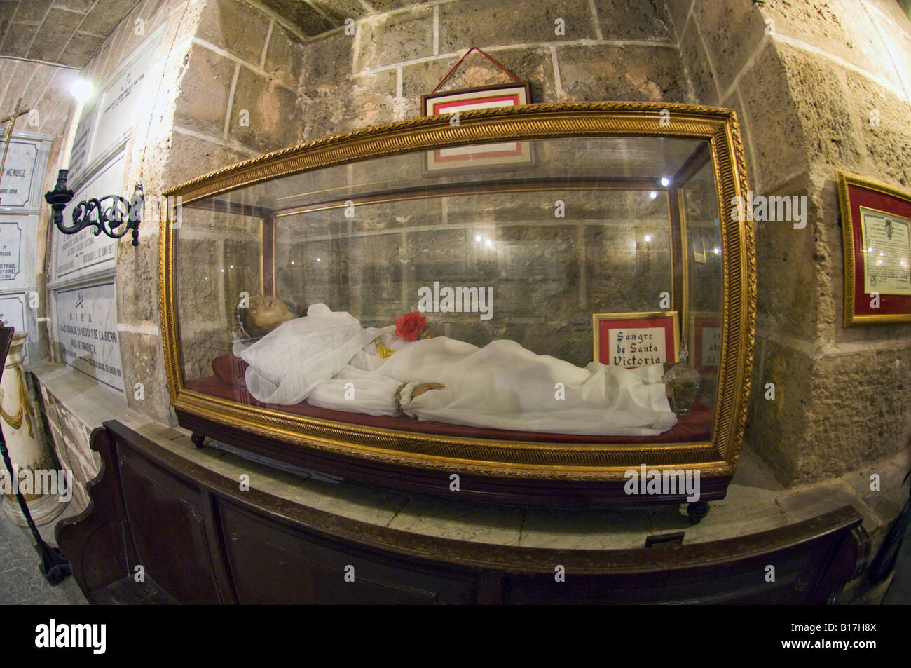 The Crypt. Cadiz Cathedral. Cadiz, Spain Stock Photo - Alamy