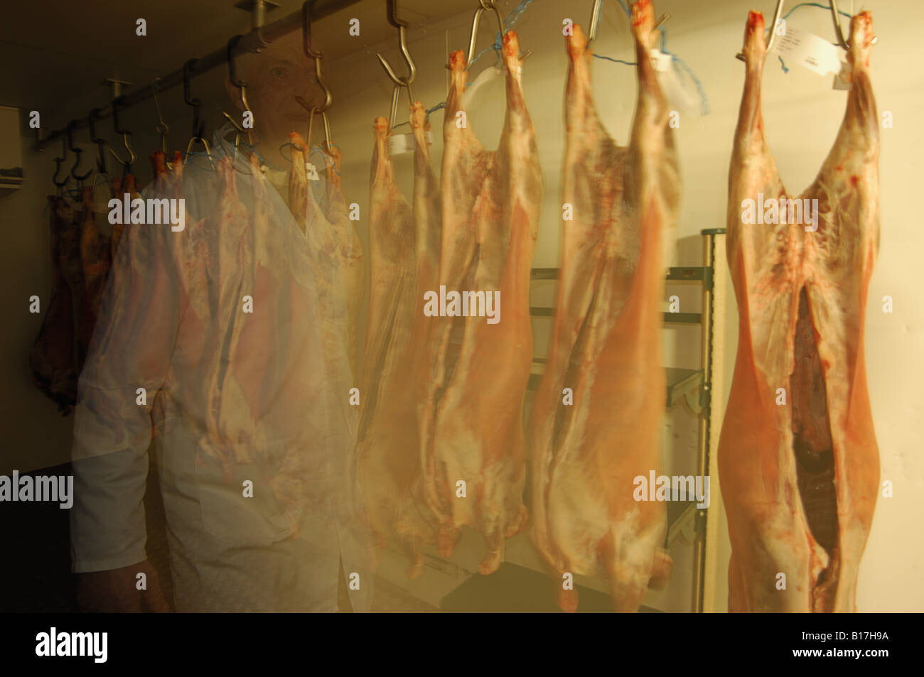 Slow shutter speed butcher in meat cooler Stock Photo - Alamy