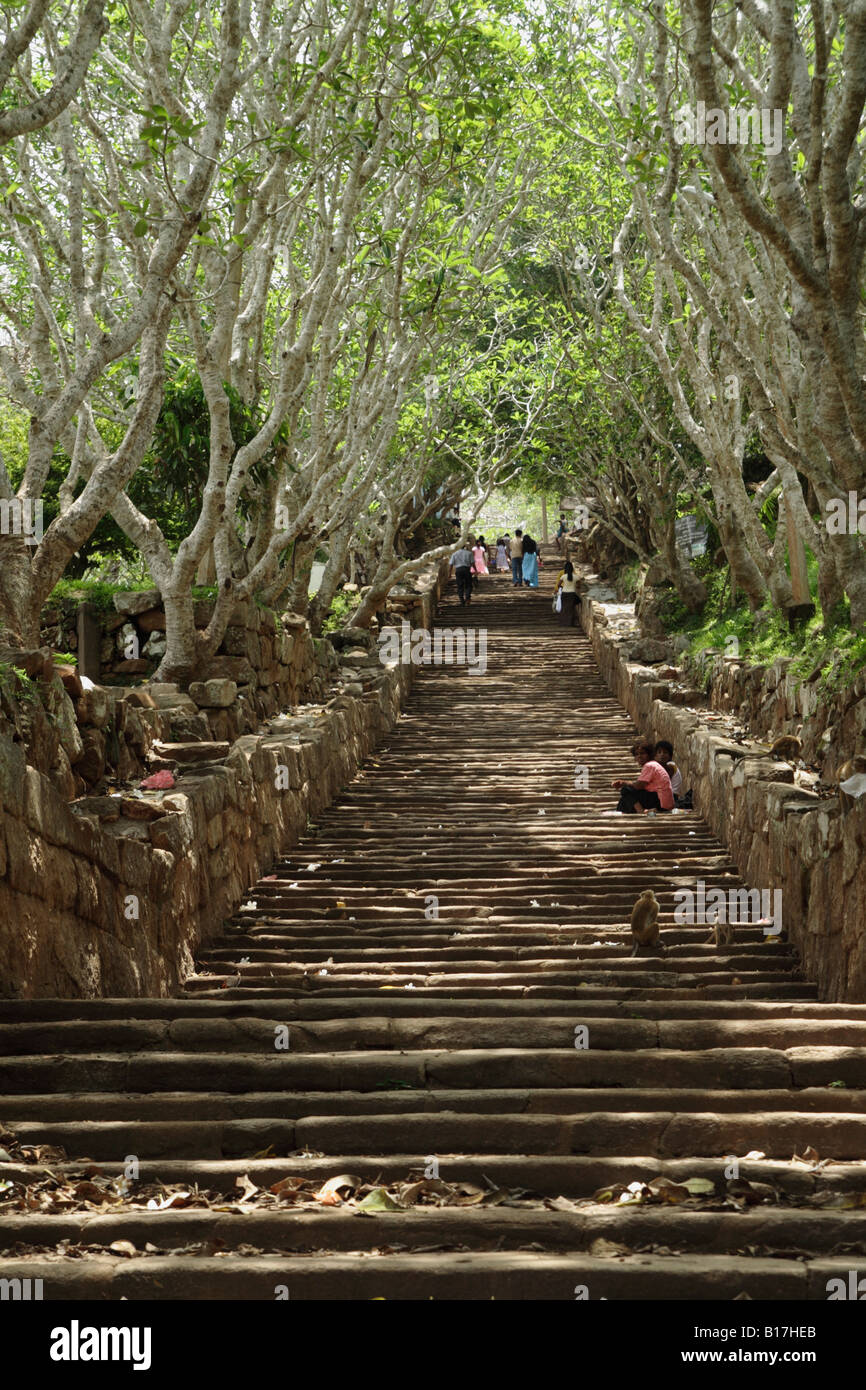 Stairs in Mihintale, Sri Lanka Stock Photo - Alamy