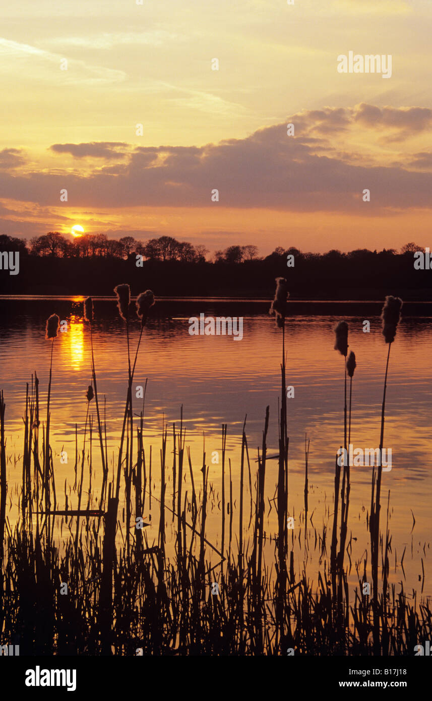 Farnham lakes hi-res stock photography and images - Alamy