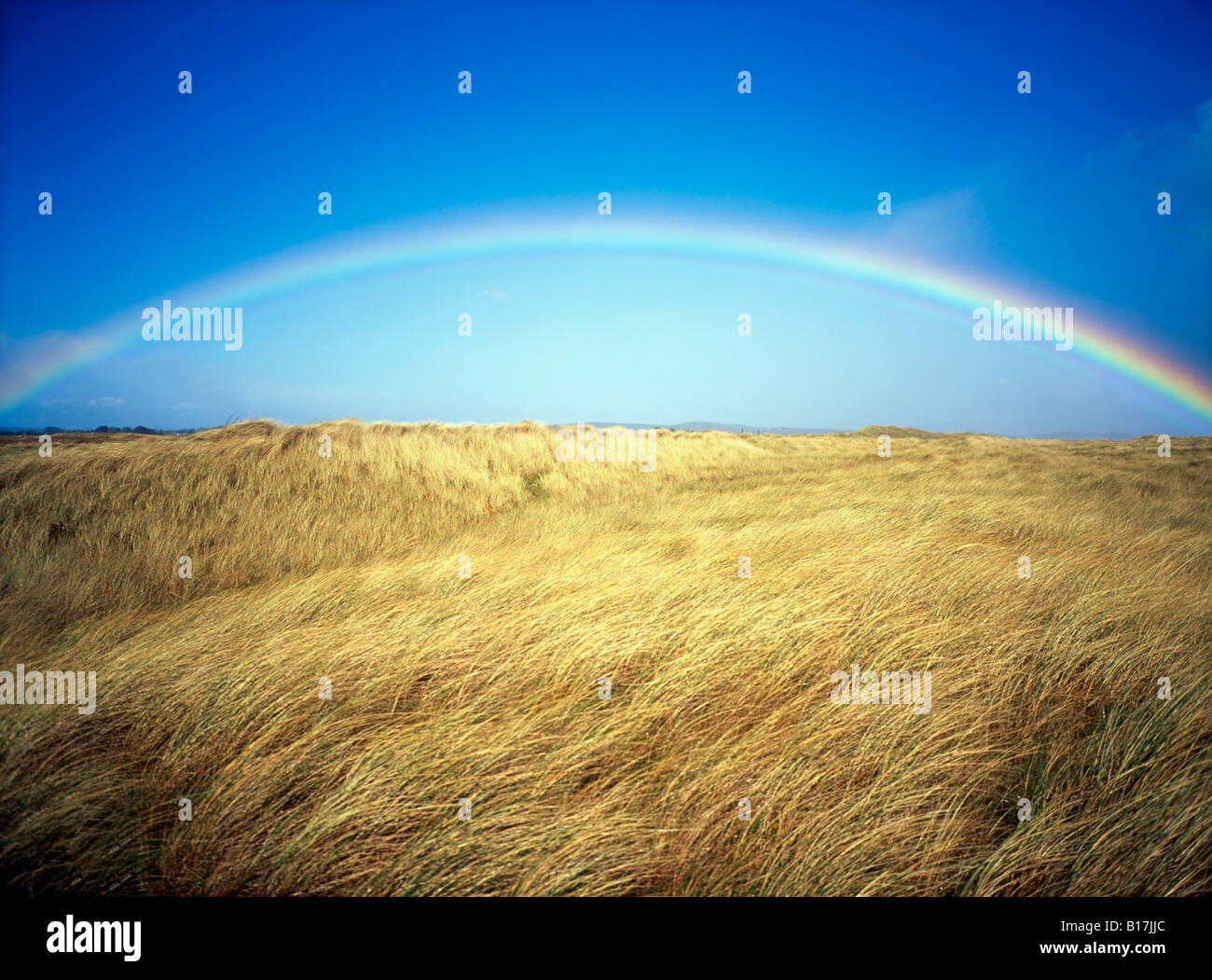 Baltray, County Meath, Ireland, Marram grass and rainbow Stock Photo ...