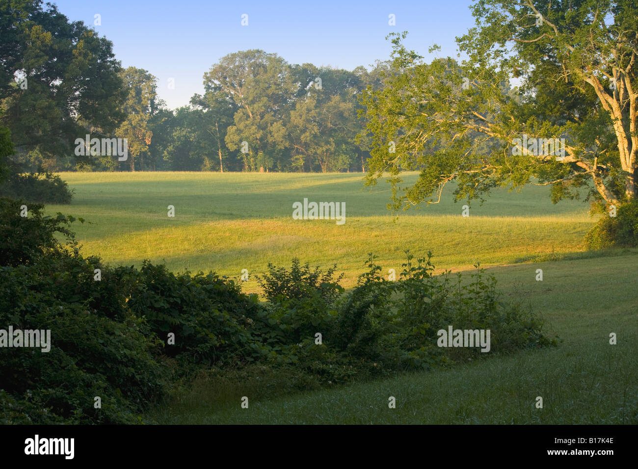 Golden sunlight landscape hi-res stock photography and images - Alamy