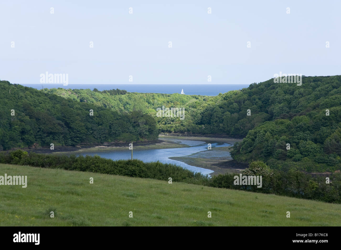 Percuil river near St Mawes Cornwall England Stock Photo - Alamy