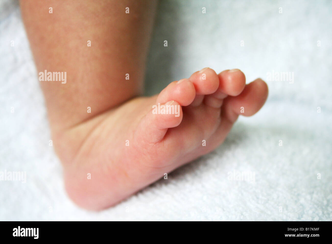 Baby's foot closeup Stock Photo - Alamy