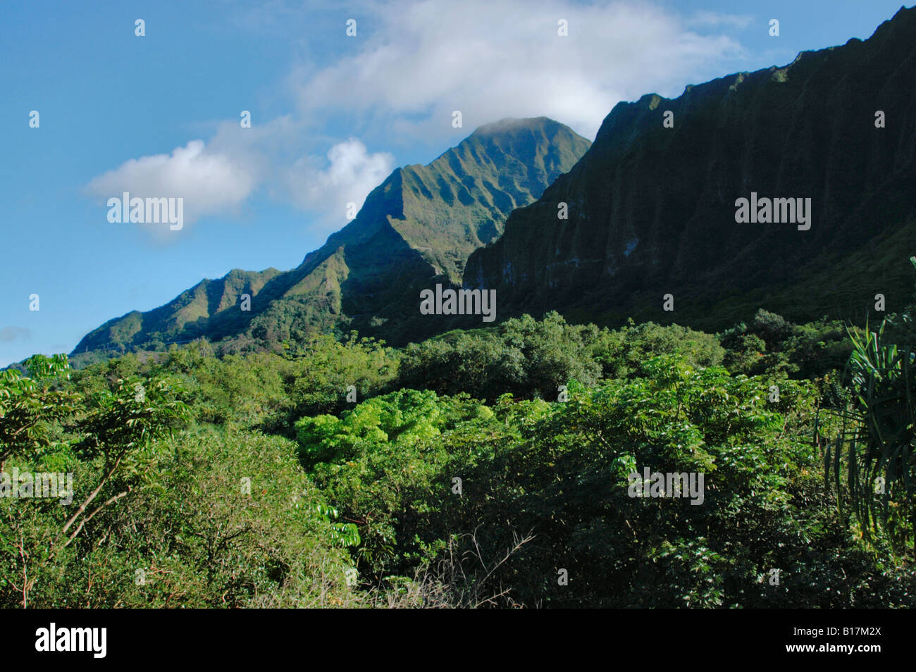 Koolau mountains oahu hawaii hi-res stock photography and images - Alamy