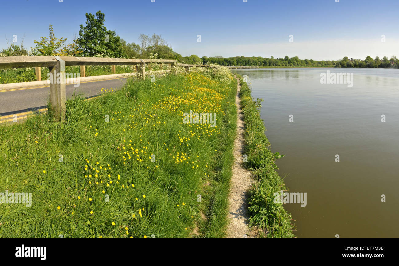 A footpath through woods alongside a lake or river Stock Photo - Alamy