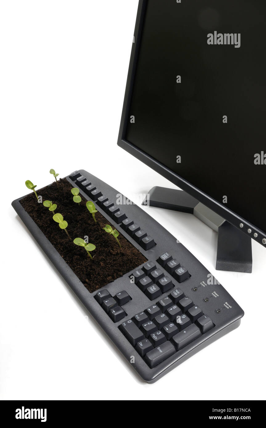 Desktop computer and screen with seedlings growing out of the keyboard ...