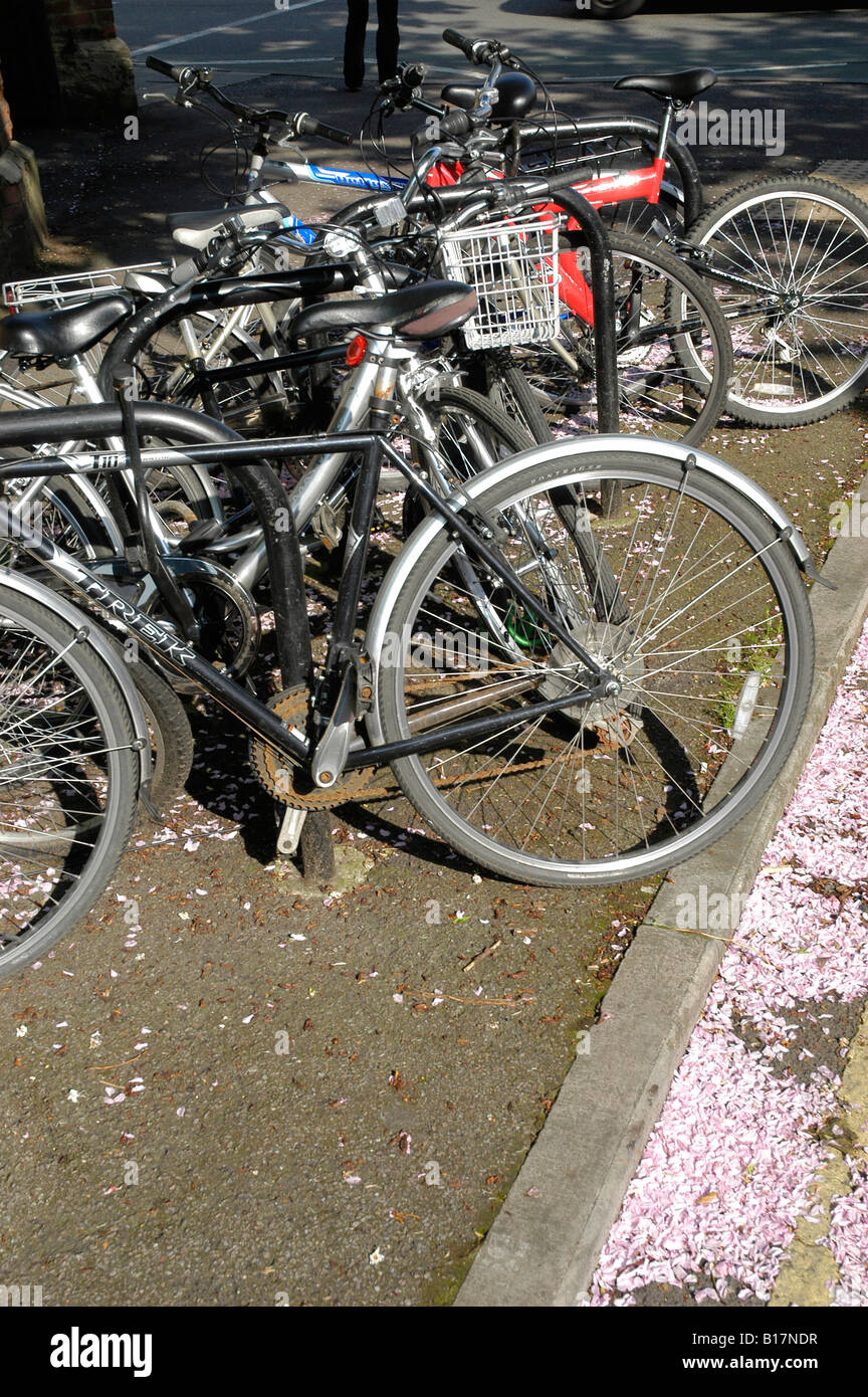 Cycles pedal cycle hi-res stock photography and images - Alamy