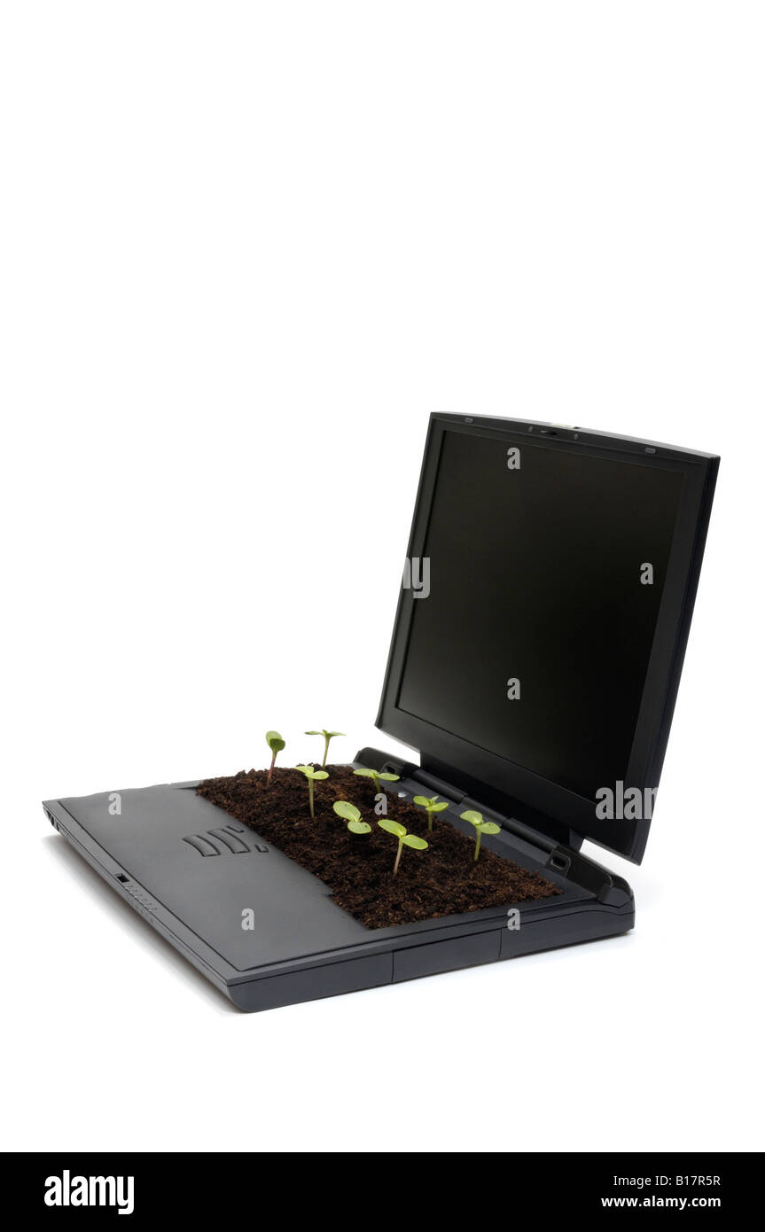 Laptop computer with seedlings growing out of the keyboard Stock Photo ...