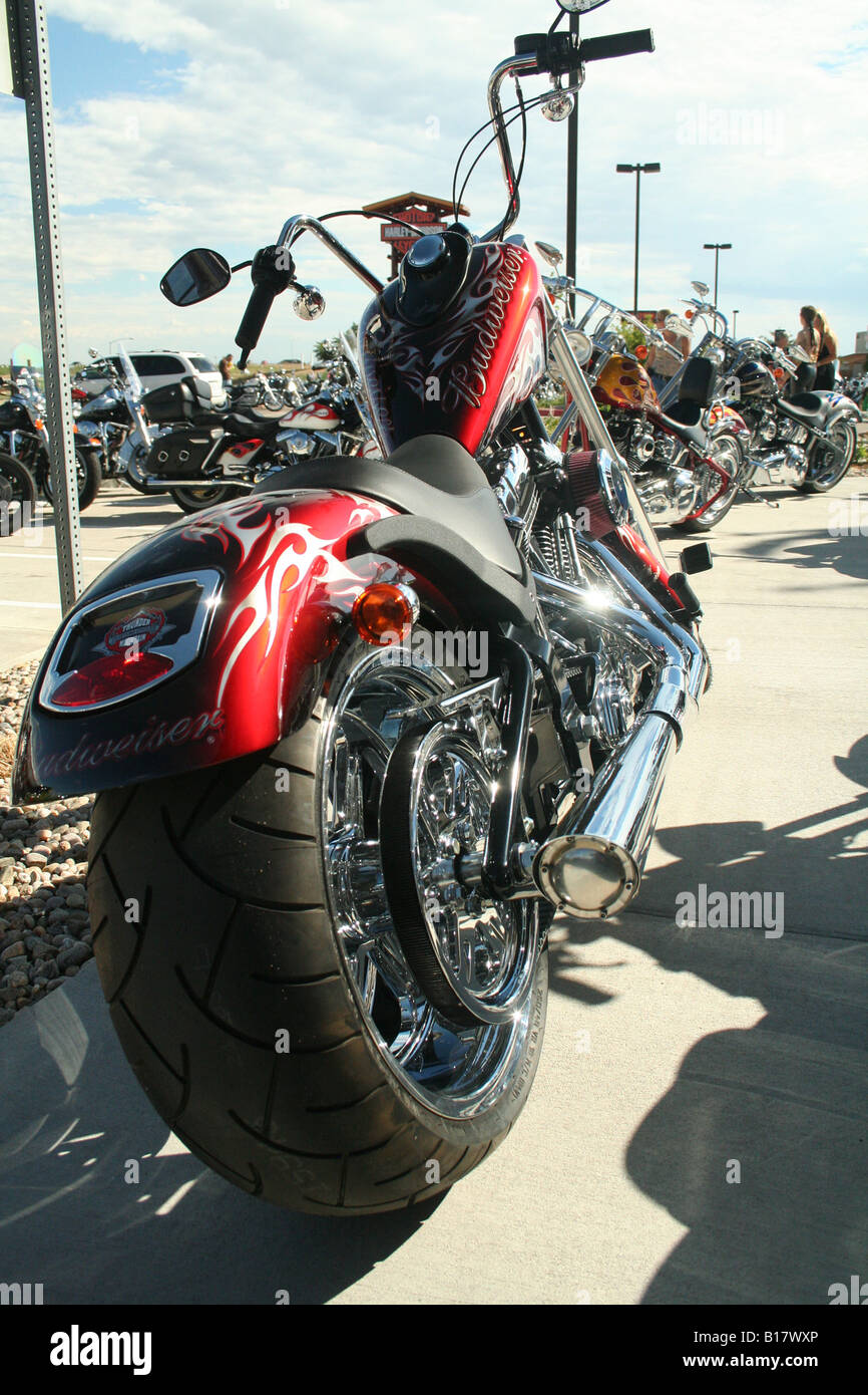 Harley Davidson Motorcycles on display at weekend rally Stock Photo - Alamy