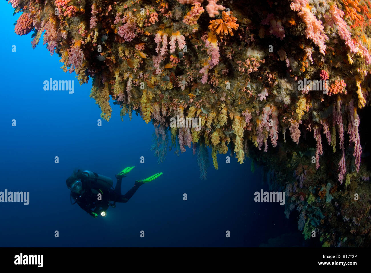 Coral reef overhang hi-res stock photography and images - Alamy