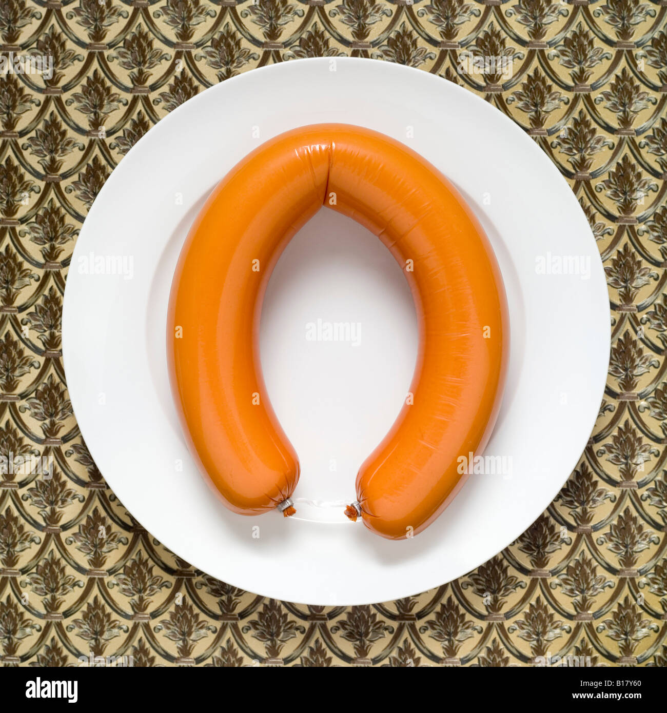 Ring bologna (Fleischwurst), on plate, elevated view Stock Photo - Alamy