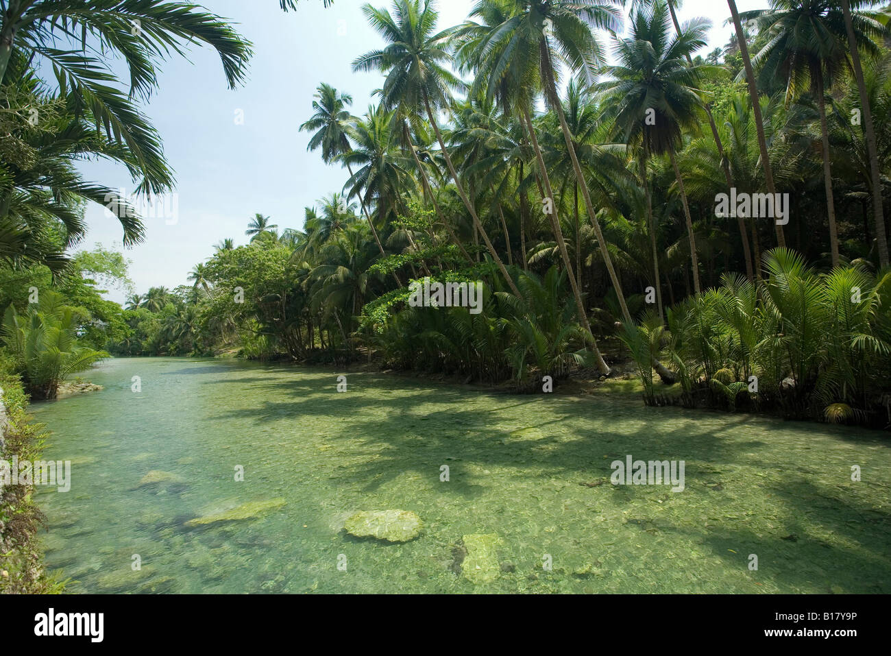 river coming from Kawasan waterfalls Maolboal Cebu Philippines Stock ...
