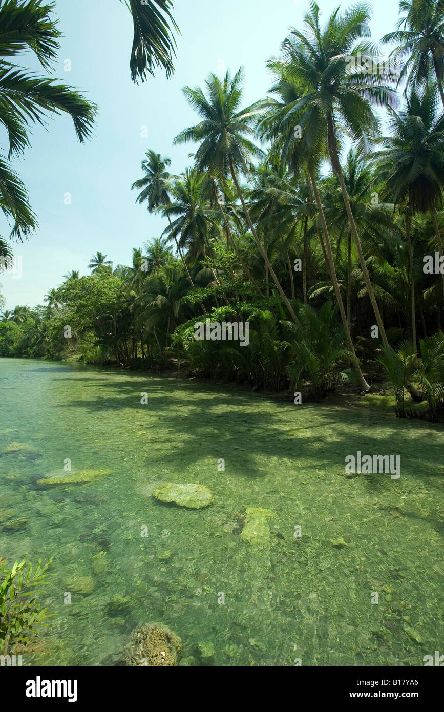river coming from Kawasan waterfalls Maolboal Cebu Philippines Stock ...