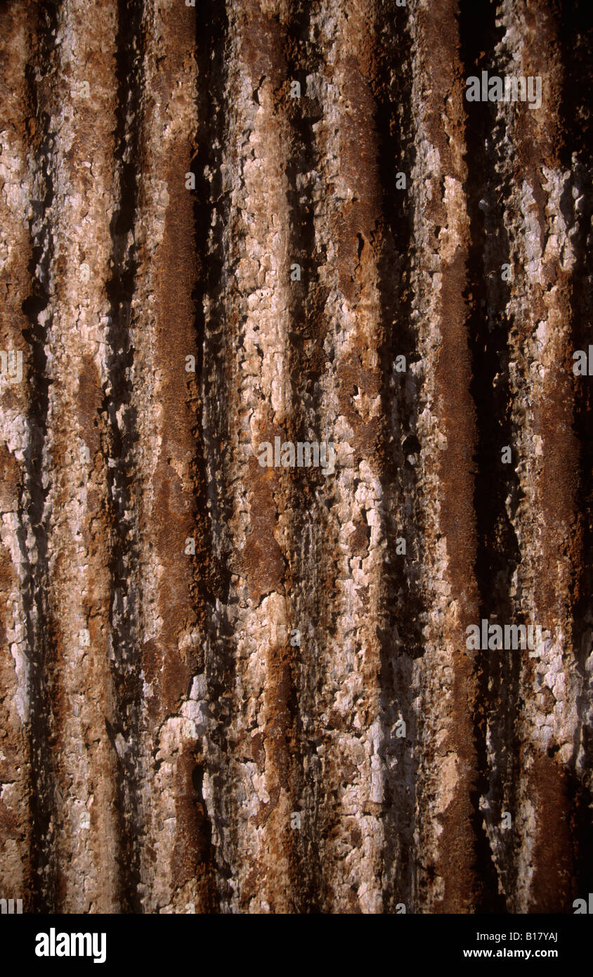 Corrugated iron sheet hi-res stock photography and images - Alamy